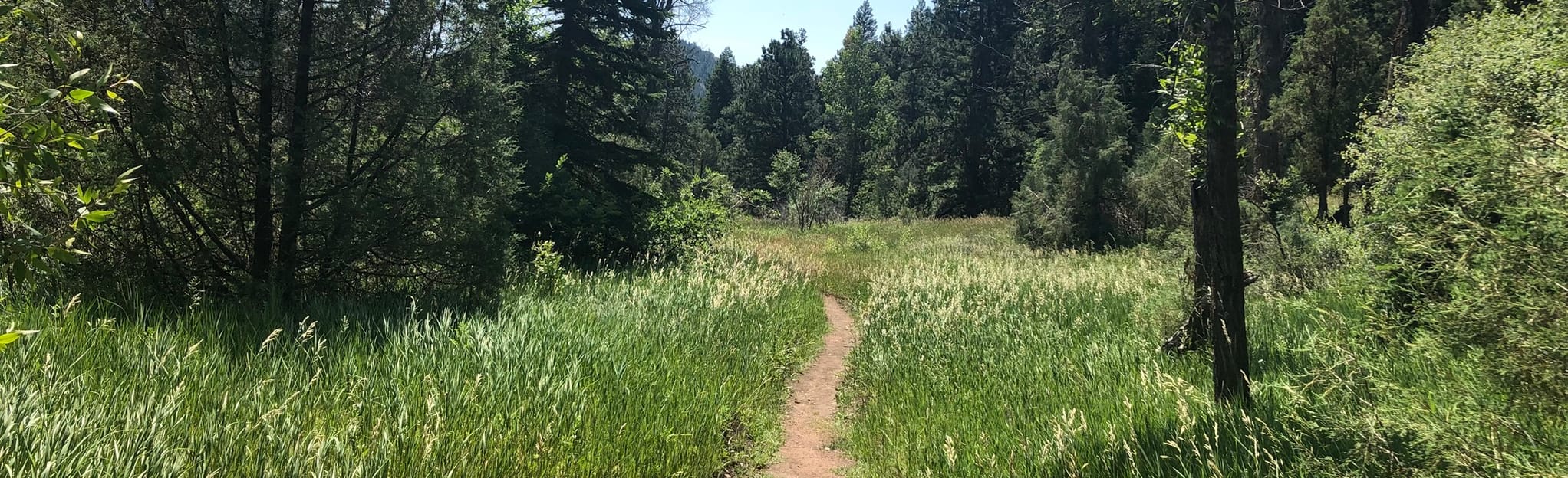 Hummingbird and Songbird Loop Trail: 355 foto's - Colorado | AllTrails