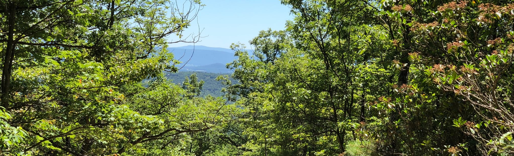 Orkney Springs Trail - Virginia | AllTrails