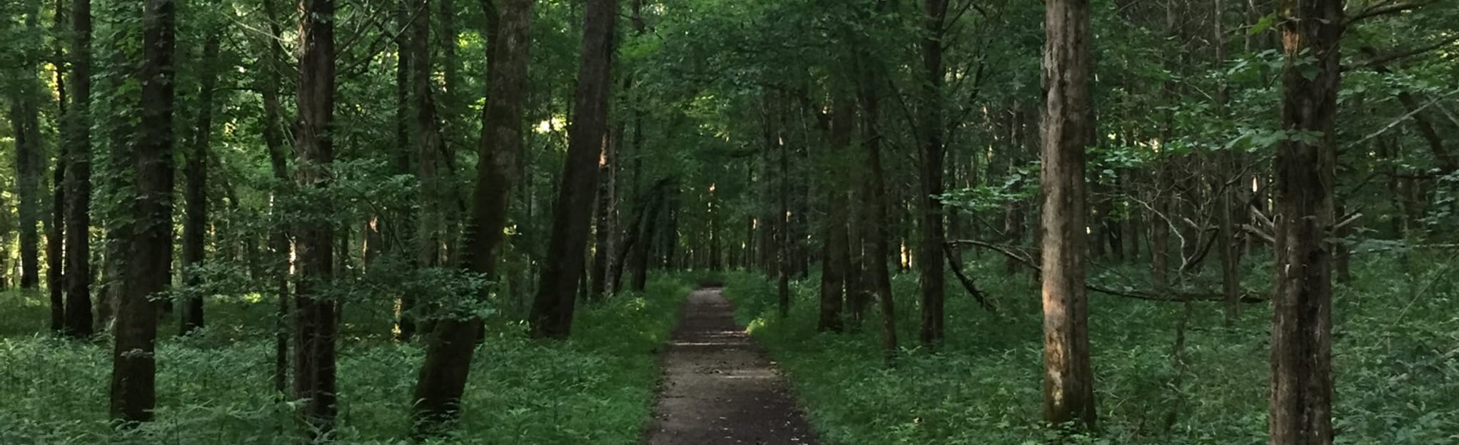 Echo River and River Styx Springs Trail - Kentucky | AllTrails