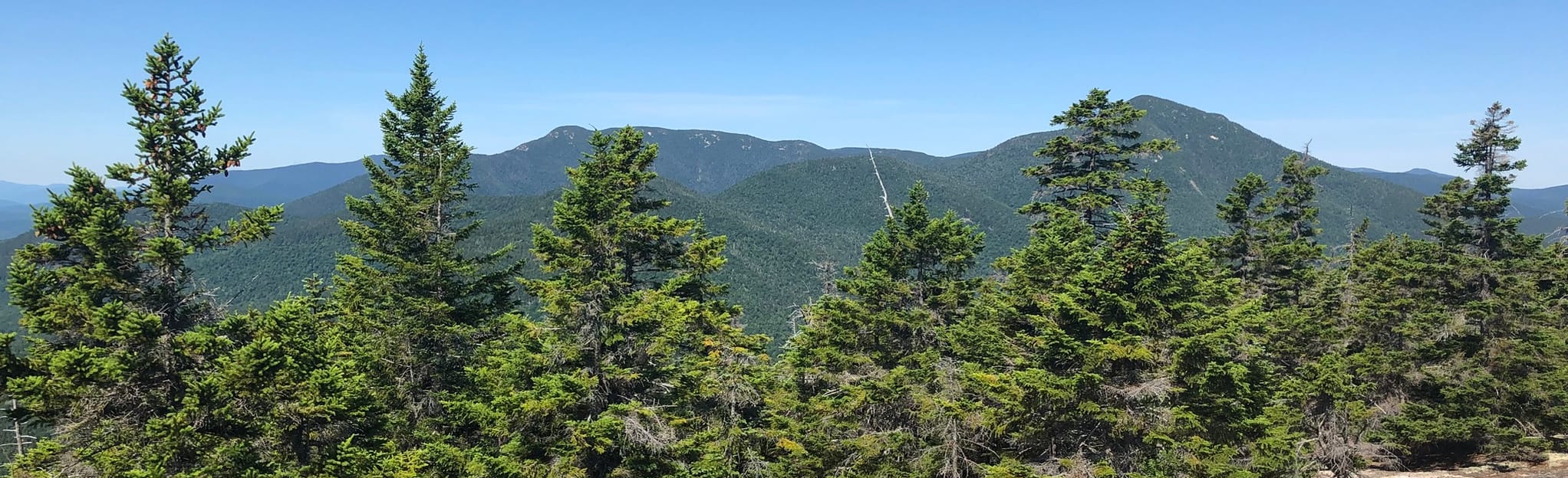 Mount Paugus via Cabin and Big Rock Cave Trail Loop: 119 Reviews, Map ...