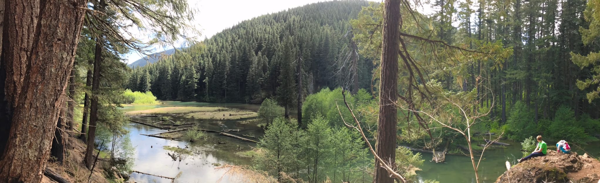 Echo Lake Loop : 6 Reviews, Map - Washington | AllTrails