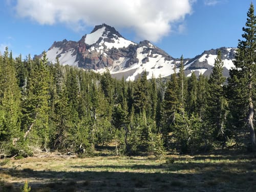 Best 10 Hikes and Trails in Three Sisters Wilderness | AllTrails