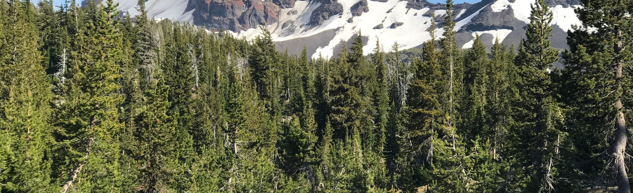 Broken Top Loop, Oregon - 264 Reviews, Map | AllTrails