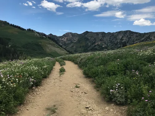 10 Best Trails and Hikes in Sandy | AllTrails