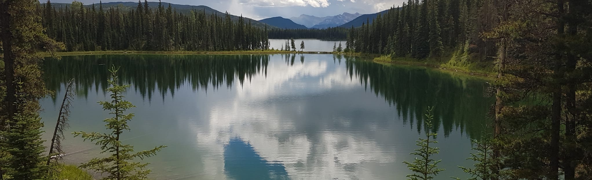 Kelly's Bathtub and Jarvis Lake Trail Loop: 134 fotos - Alberta, Canadá ...