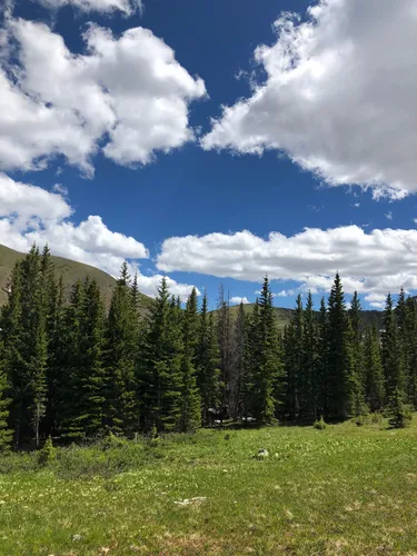 10 Best Hikes and Trails in State Forest State Park | AllTrails