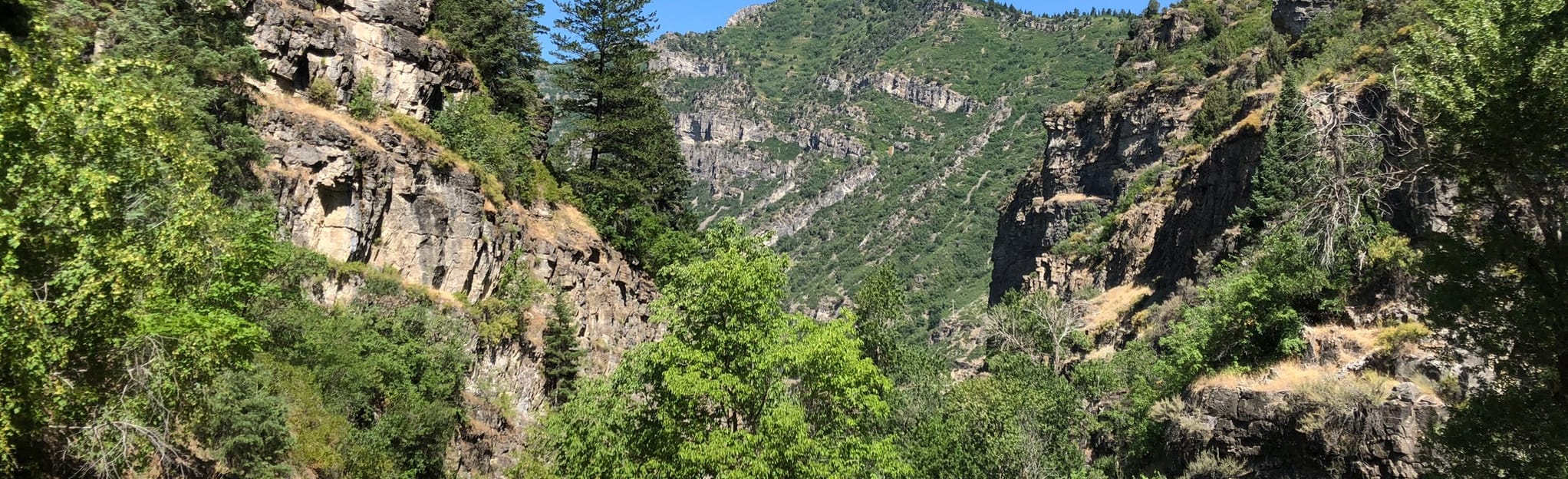 Ogden River Scenic Byway: 30 Reviews, Map - Utah | AllTrails