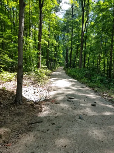 Best Lake Trails in Morgan Monroe State Forest | AllTrails