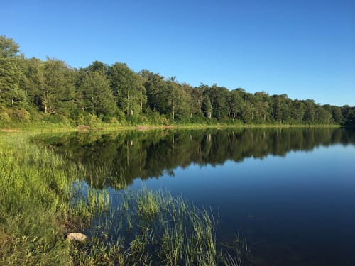 Best 10 Hikes and Trails in Delaware Wild Forest | AllTrails