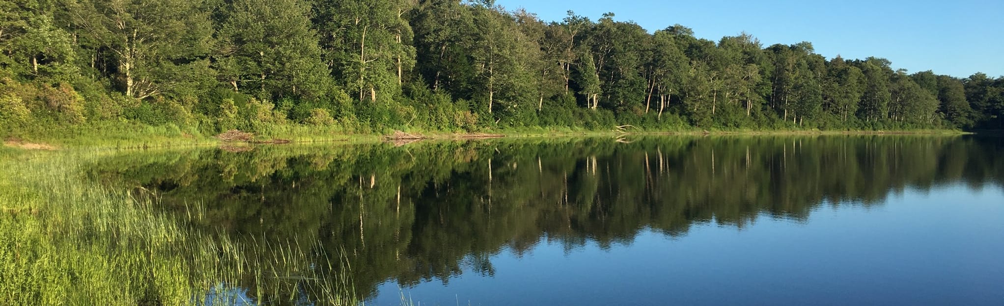 AllTrails | Russel Brook Falls and Mud Pond via Snowmobile Trail (Blue ...