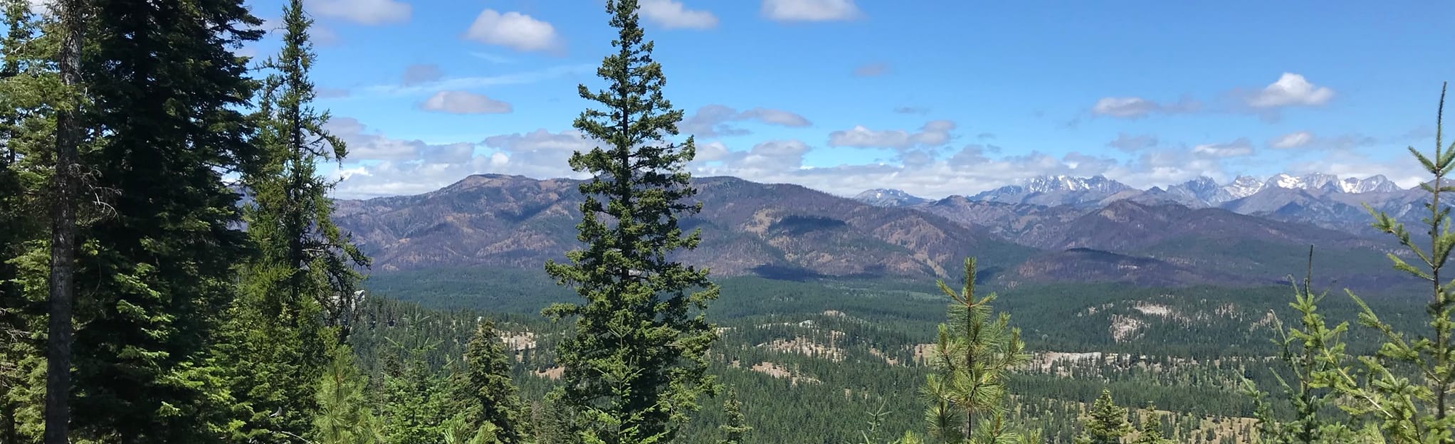 Cle Elum Ridge via Rocky's Trail, Washington - 79 Reviews, Map | AllTrails