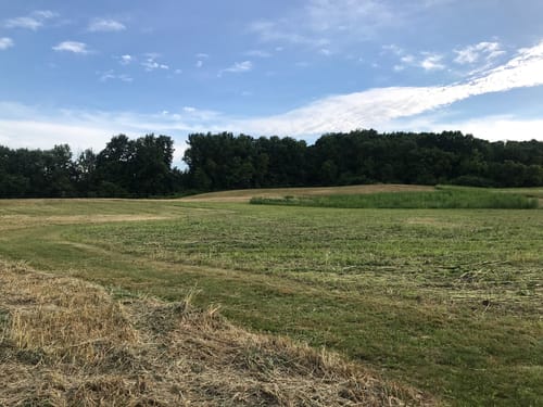 Best Hikes and Trails in Prairie Wolf Park | AllTrails