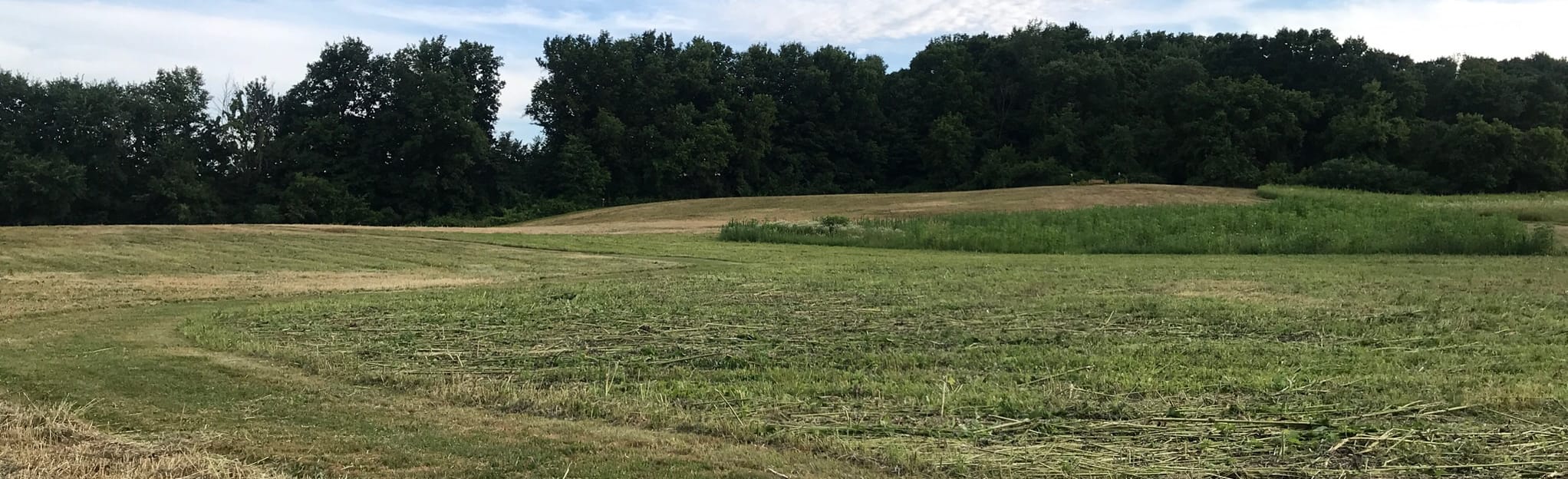 Prairie Wolf Park Loop Trail, Michigan - 397 Reviews, Map | AllTrails