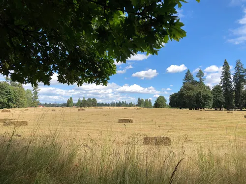 Best Hikes and Trails in Ridgefield | AllTrails