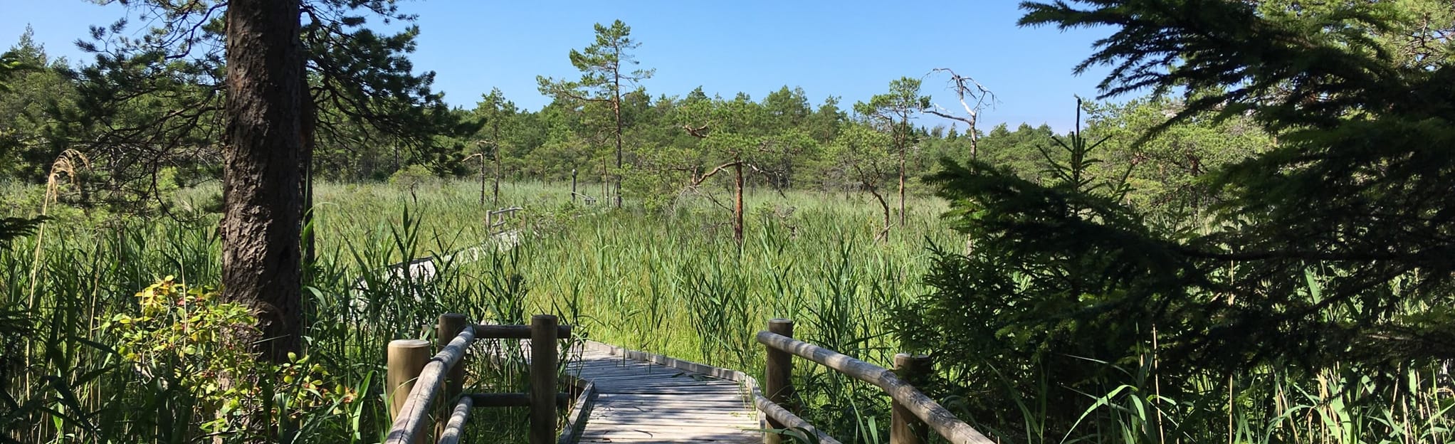 Slitere Nature Trail: 32 foto's - Courland, Letland | AllTrails