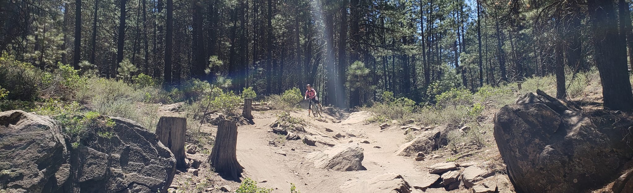 Phil's and Kent's Trail Loop: 164 foto - Oregon | AllTrails