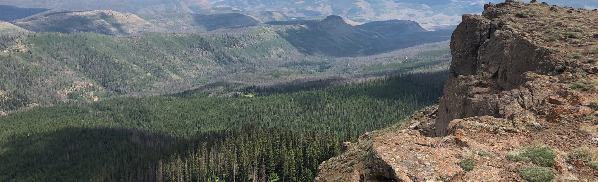 Elk Mountain Trail, Colorado - 70 Reviews, Map | AllTrails