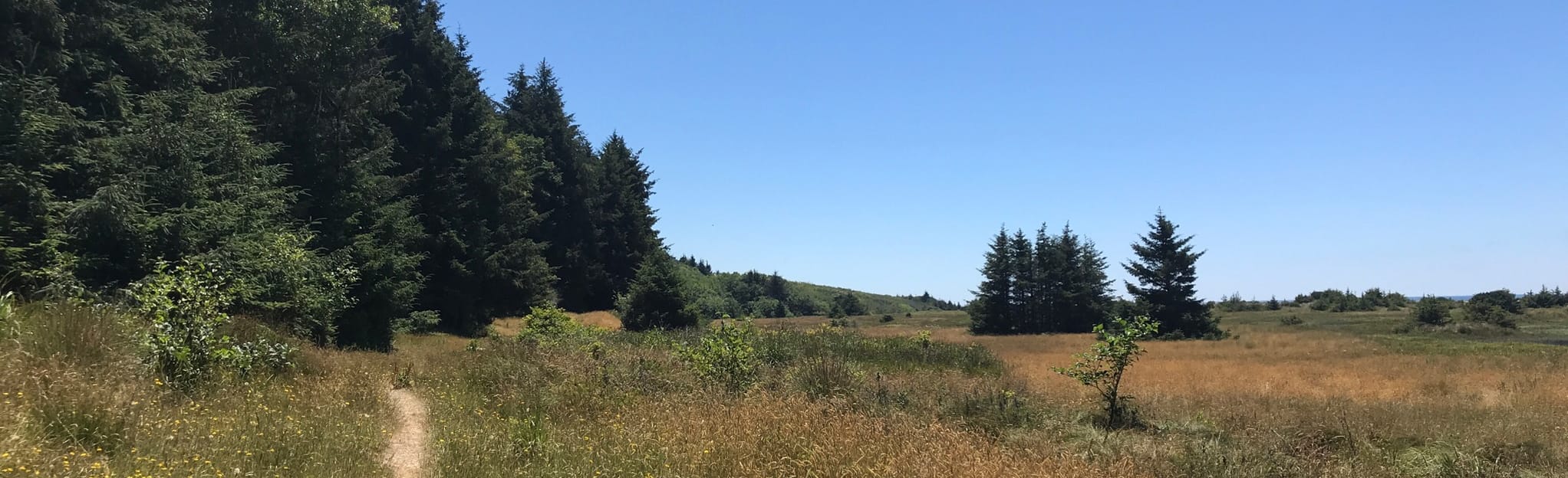 Friendship Ridge Trail to Davison Trail Loop: 115 Reviews, Map ...