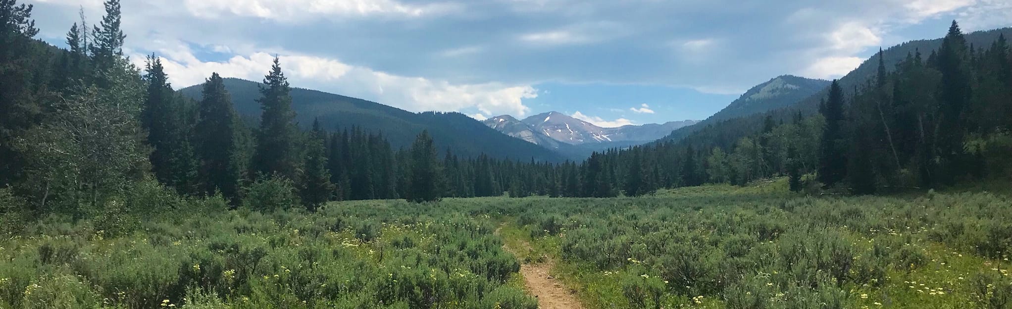 Coffin Lakes Trail: 94 Reviews, Map - Montana | AllTrails