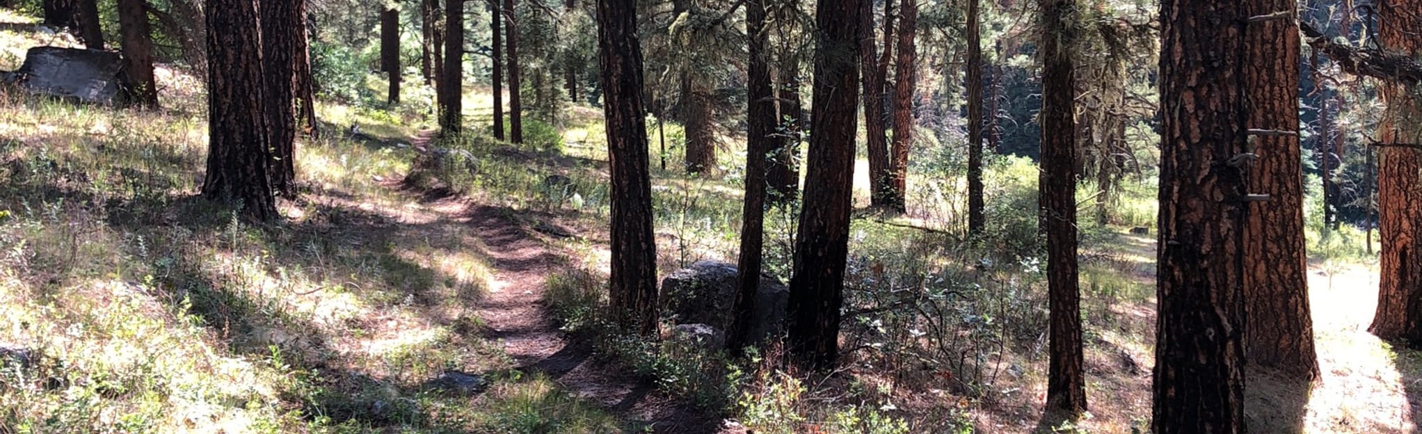 First Fork, Coldwater Creek, Piedra River, and Second Box Canyon Loop ...