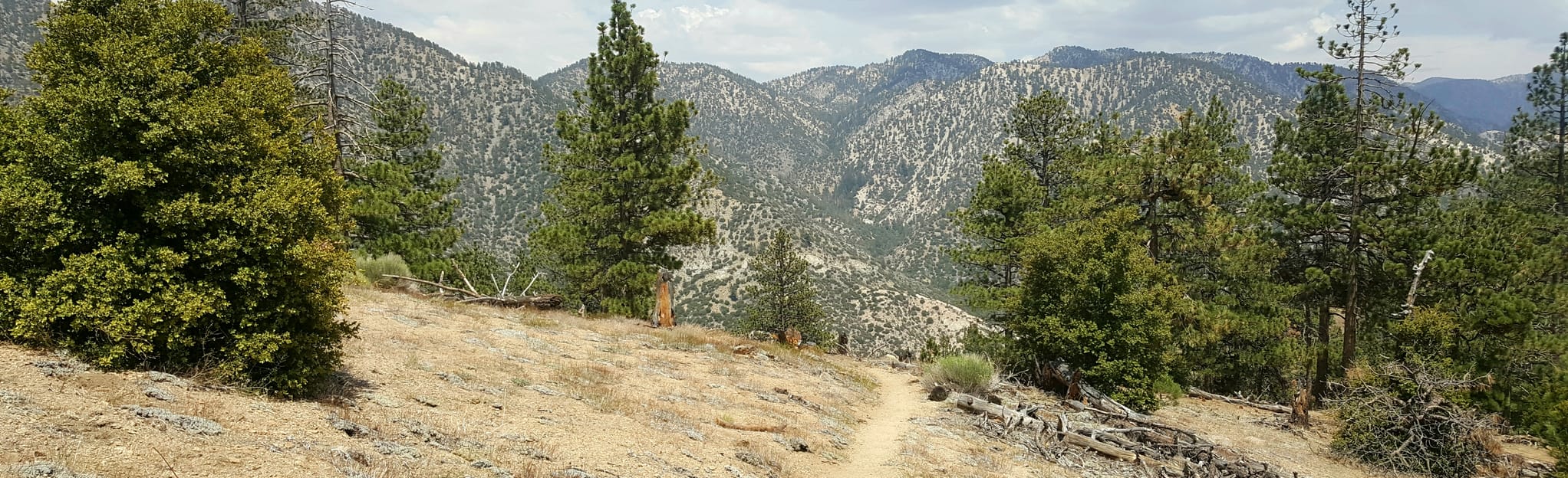 The Angeles Crest - Inspiration Point to Cloudburst Summit via the PCT ...