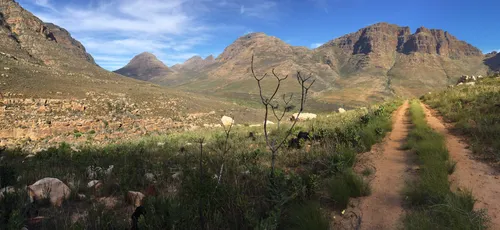 10 Best Hikes and Trails in Cederberg Wilderness Area | AllTrails