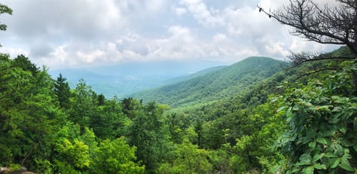 2023 Best 10 Trails and Hikes in Black Mountain | AllTrails