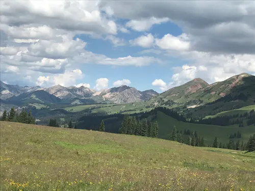 2023 Best 10 Off Road Driving Trails in Gunnison National Forest ...