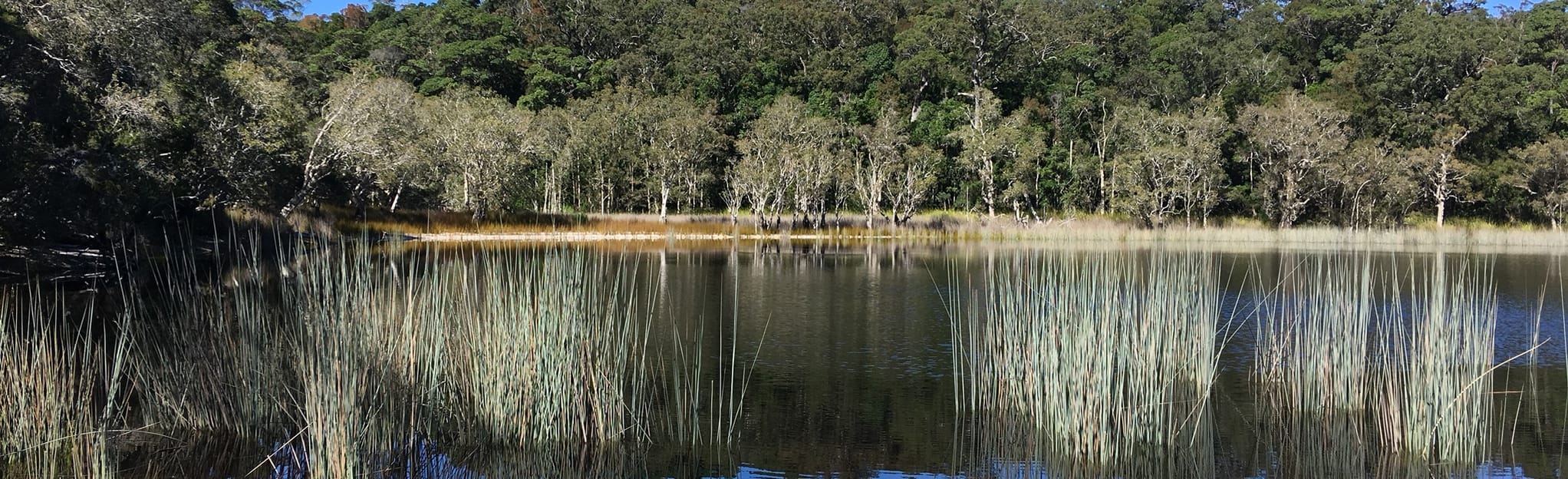Poona Lake, Queensland, Australia - 60 Reviews, Map | AllTrails