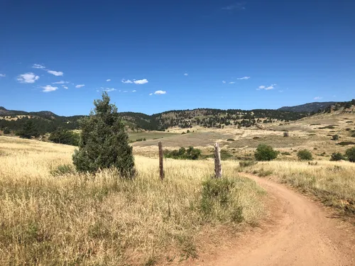 10 Best Trails and Hikes in Lyons | AllTrails