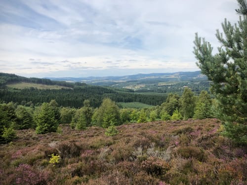 2023 Best 10 Trails, Walks, and Paths in Aberdeenshire | AllTrails