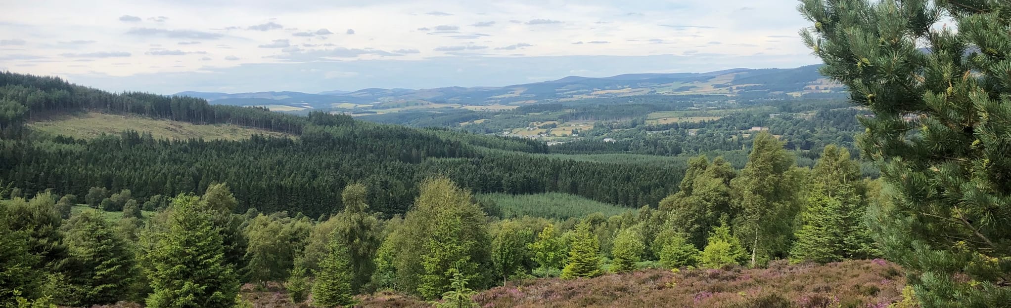 Scolty Hill, Aberdeenshire, Scotland - 92 Reviews, Map | AllTrails