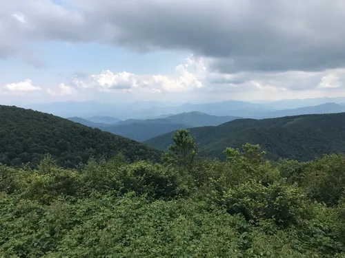 10 Best Hikes and Trails in Unaka Mountain Wilderness | AllTrails