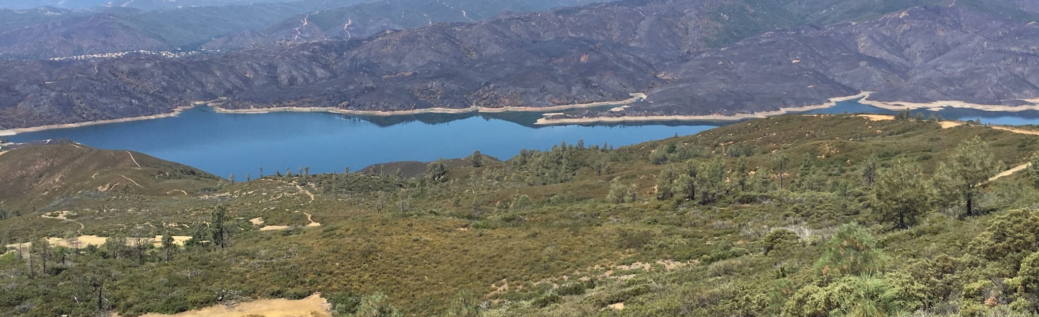 Walker Ridge OHV Road, California - 53 Reviews, Map | AllTrails