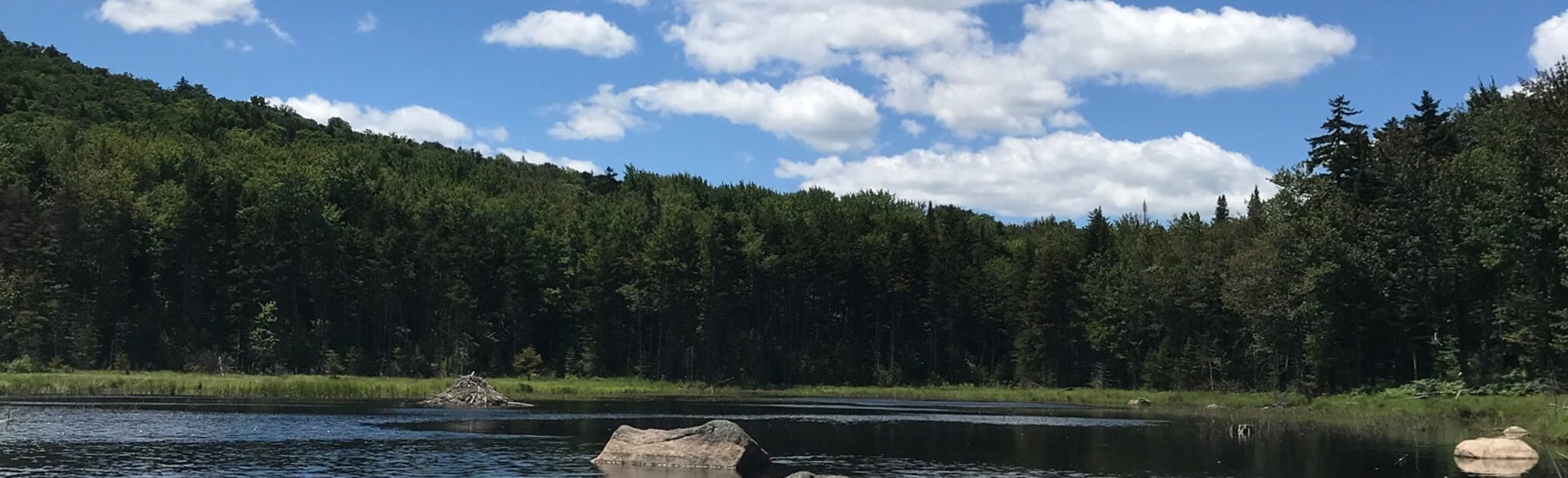Indian River Trail: 0 Reviews, Map - New York | AllTrails