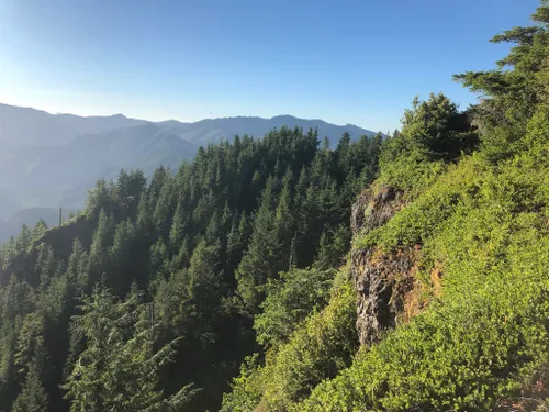 2023 Best 10 Forest Trails in Tillamook State Forest | AllTrails