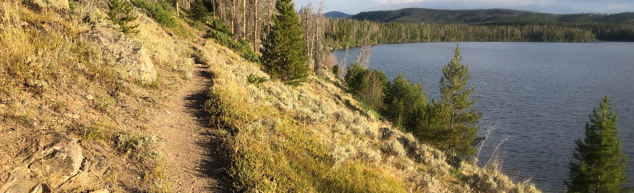 Shadow Mountain Trail: 371 Reviews, Map - Colorado | AllTrails