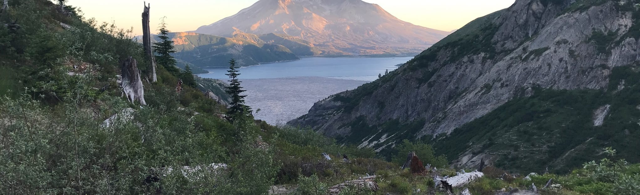 Norway Pass via Boundary Trail: 271 Reviews, Map - Washington | AllTrails