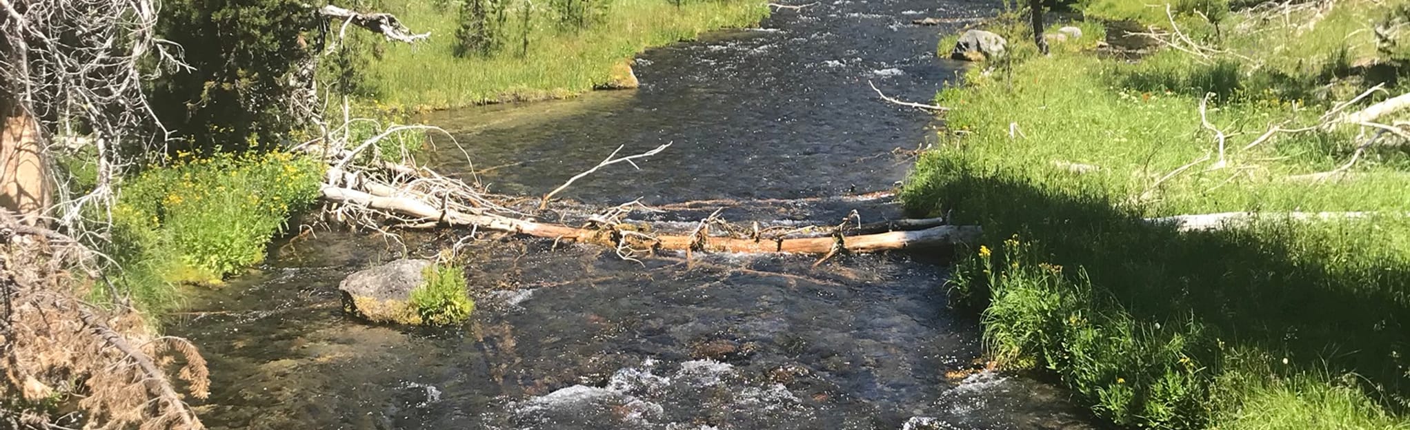 Lava Lakes via Quinn Creek and Metolius Windigo Trail: 18 Reviews, Map ...