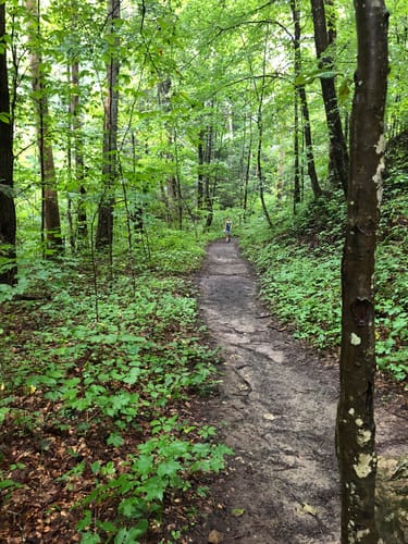 Natural Bridge State Park moderate trails - State Parks