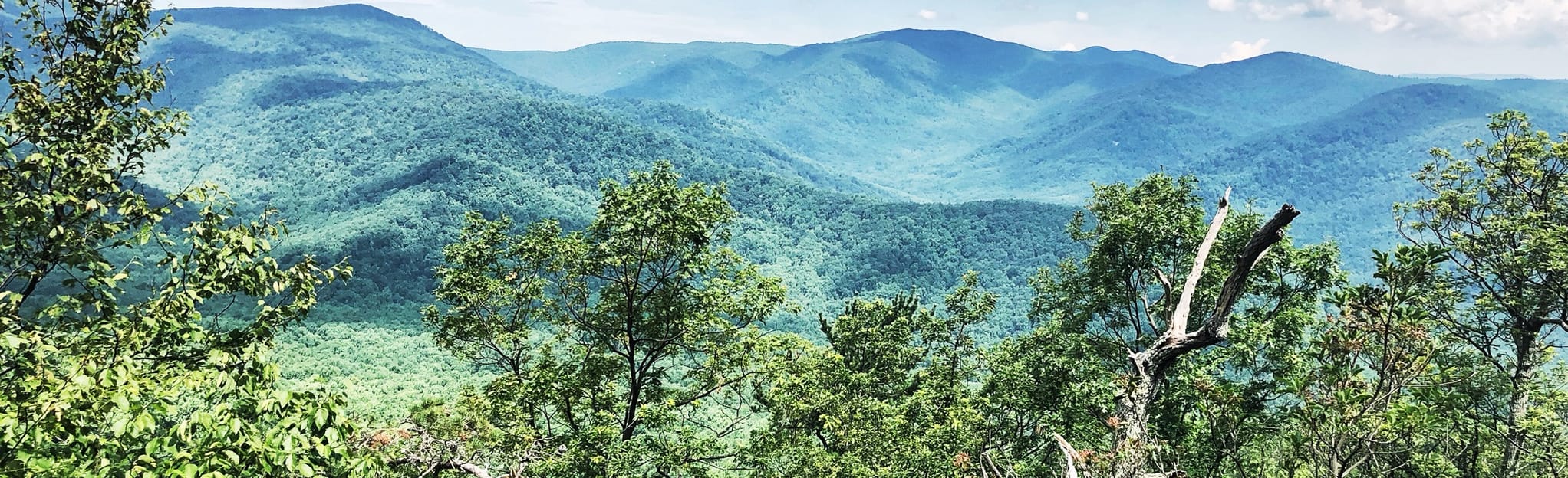 Old Rag Mountain Loop, Virginia - 12,244 Reviews, Map | AllTrails