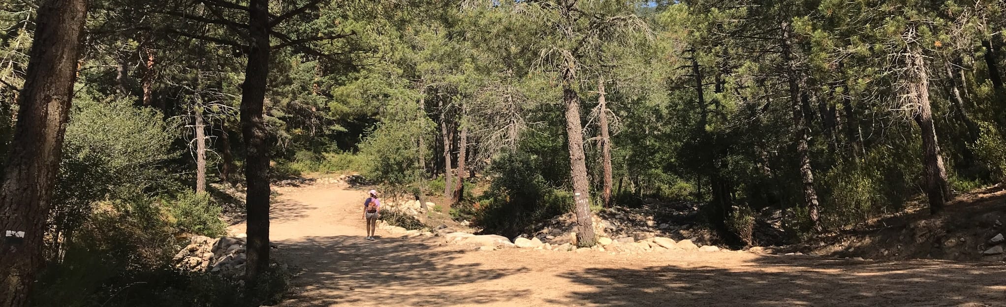 Camino El Bosque Plateado, Community of Madrid, Spain - 37 Reviews, Map ...