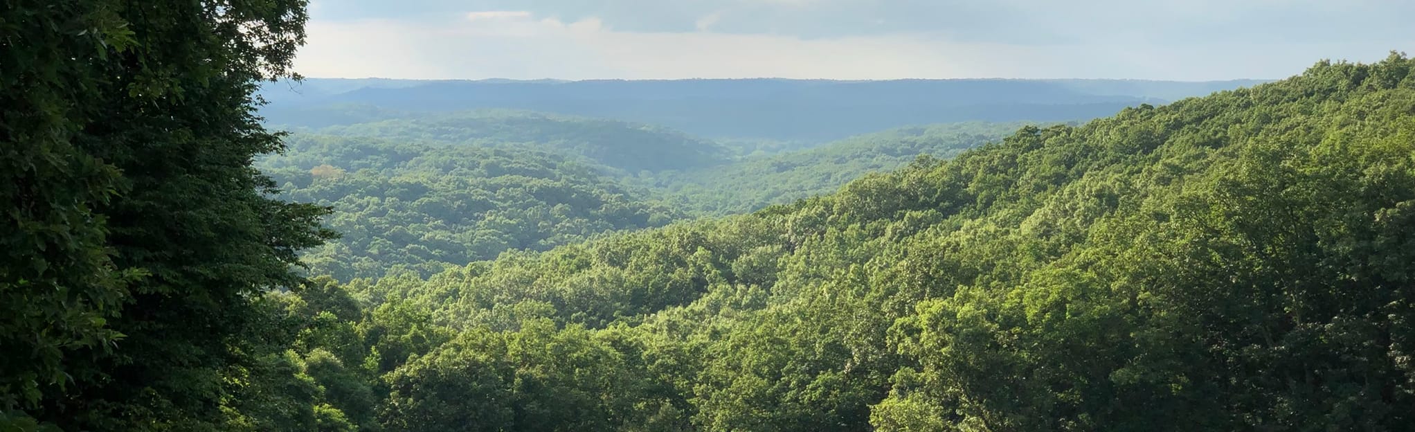 Hesitation, Aynes, Bobcat Loop, Indiana - 78 Reviews, Map | AllTrails