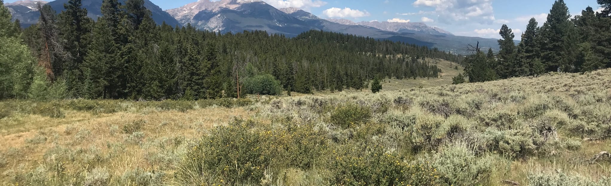 Meadow Loop and Ridge Trail, Colorado - 3,226 Reviews, Map | AllTrails