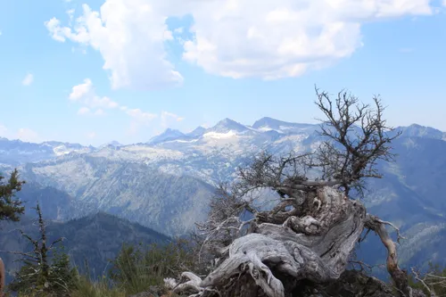 Best Historic Site Trails in Trinity Center | AllTrails