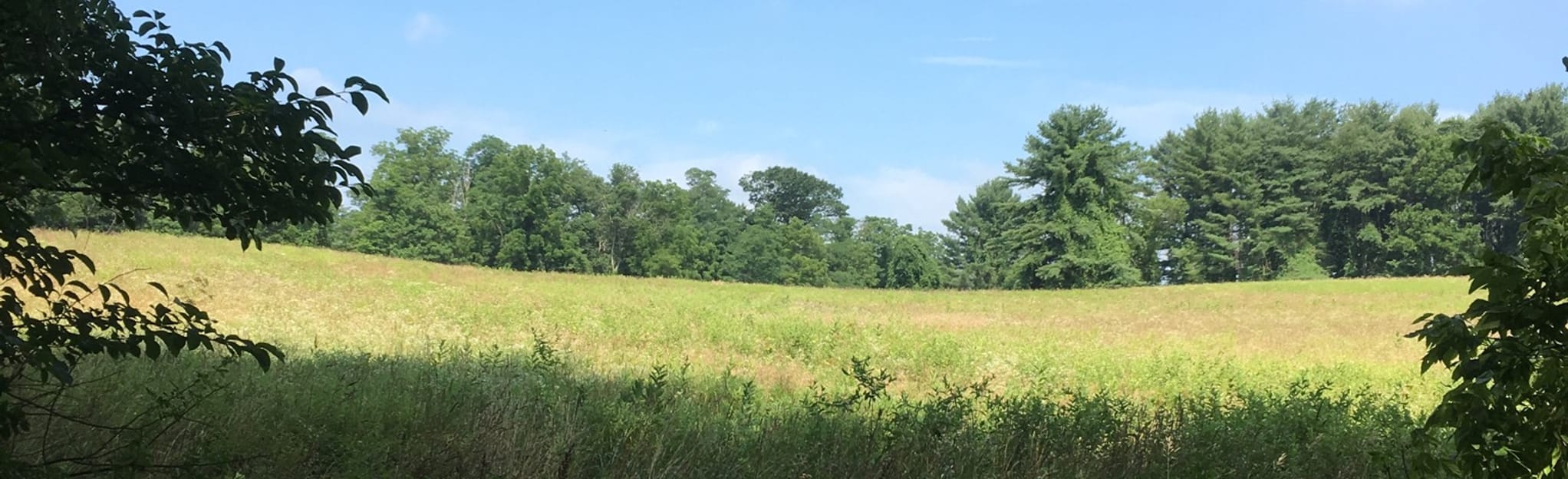 Arc Corner Monument Loop, Delaware - 121 Reviews, Map | AllTrails