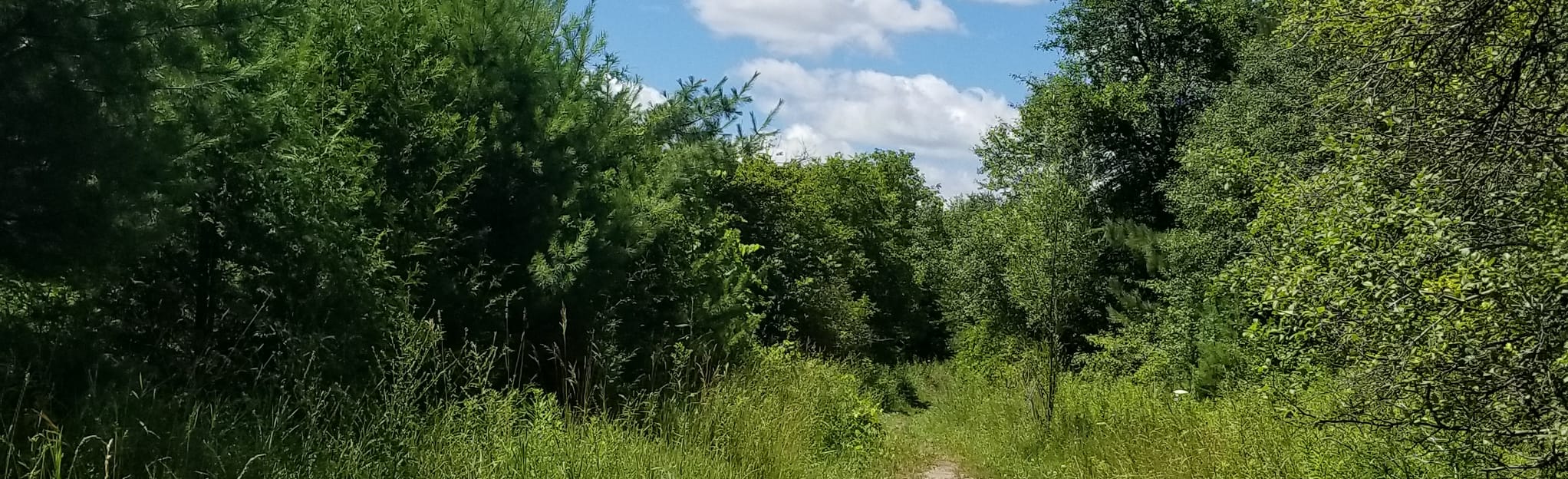 Nashville Conservation Reserve, Ontario, Canada - 208 Reviews, Map ...