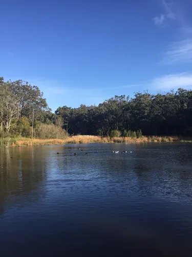 Best Walking Trails in Moe | AllTrails