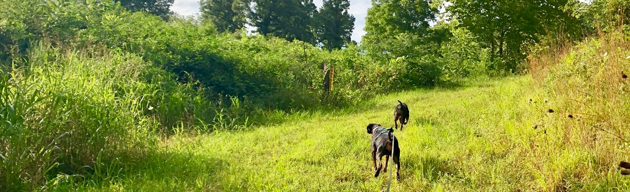 Talbot Conservation Walk, Missouri - 9 Reviews, Map | AllTrails