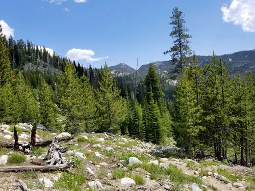 Best Hikes and Trails in North Fork John Day Wilderness | AllTrails